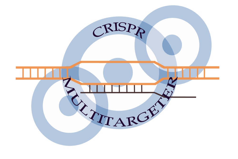 Simple CRISPR guide RNA target search in input sequence(s)